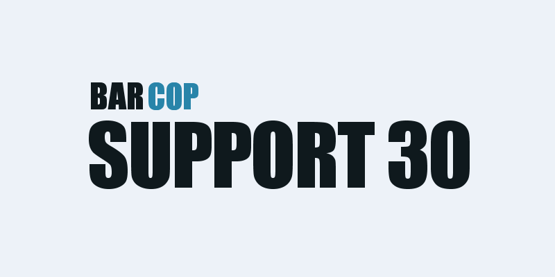 One Month Support Plan | Bar Cop