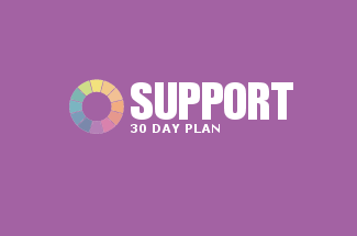 One Month Support Plan | Bar Cop
